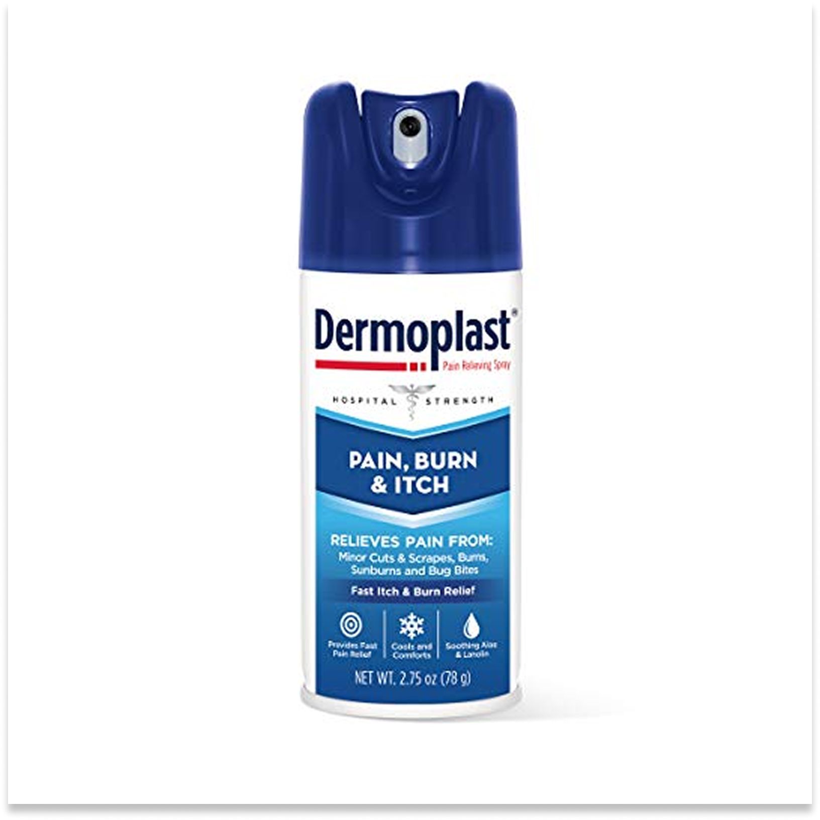 Dermoplast Pain, Burn & Itch Spray – The Postpartum Edit